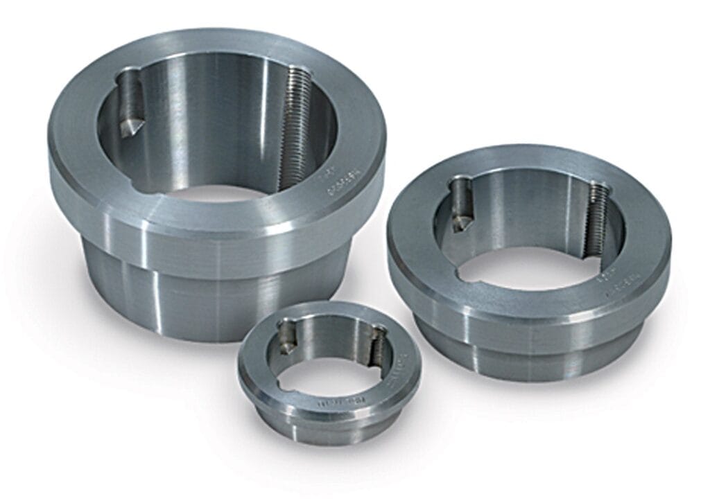 Taper Bushes - Lakehurst